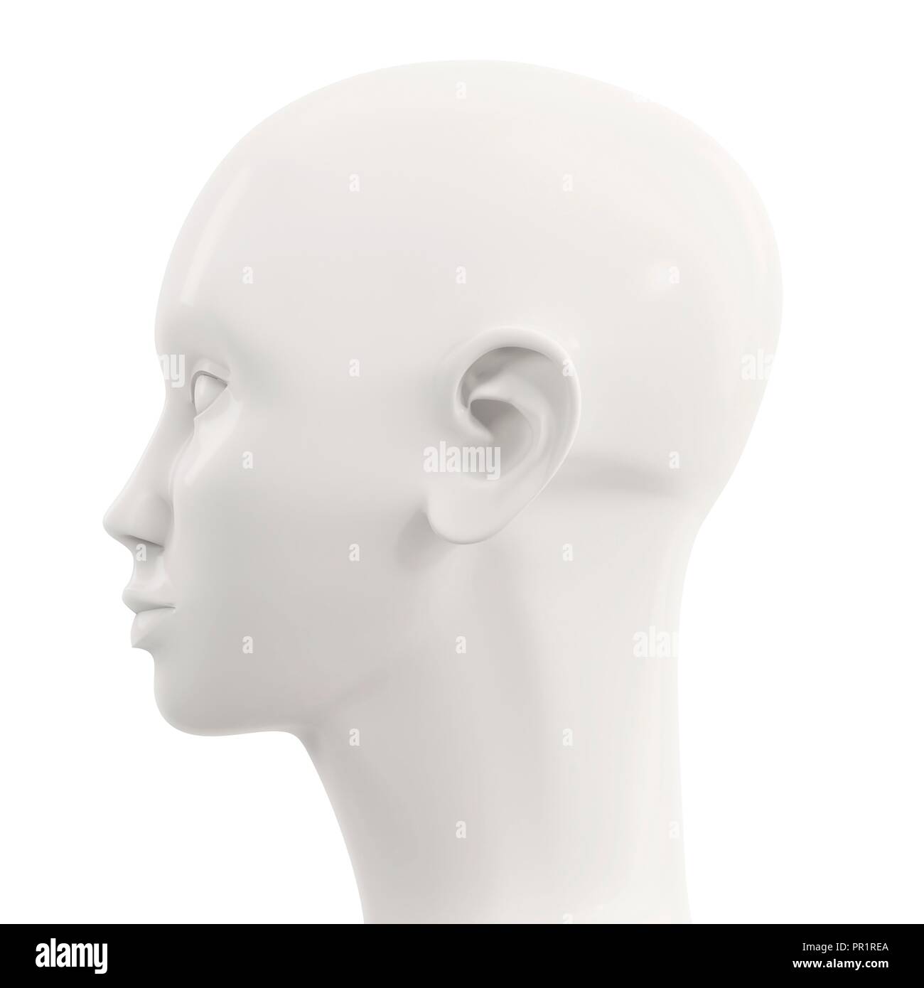 Female model head hi-res stock photography and images - Alamy