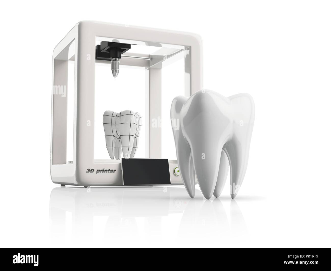 3D model of tooth, illustration Stock Photo - Alamy