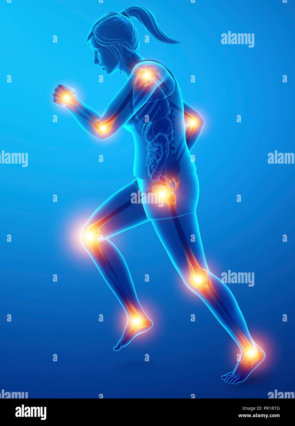 Woman with joint pain, computer illustration Stock Photo - Alamy