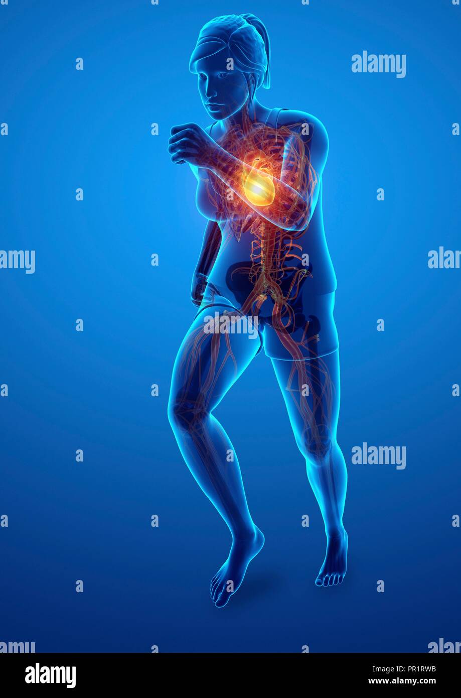 Woman with chest pain, computer illustration Stock Photo - Alamy