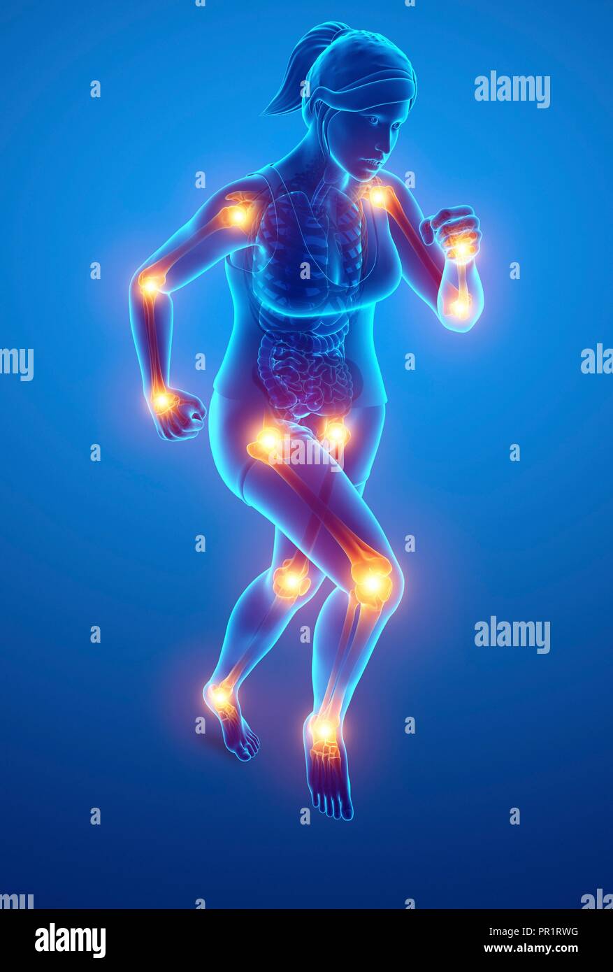 Woman with joint pain, computer illustration Stock Photo - Alamy