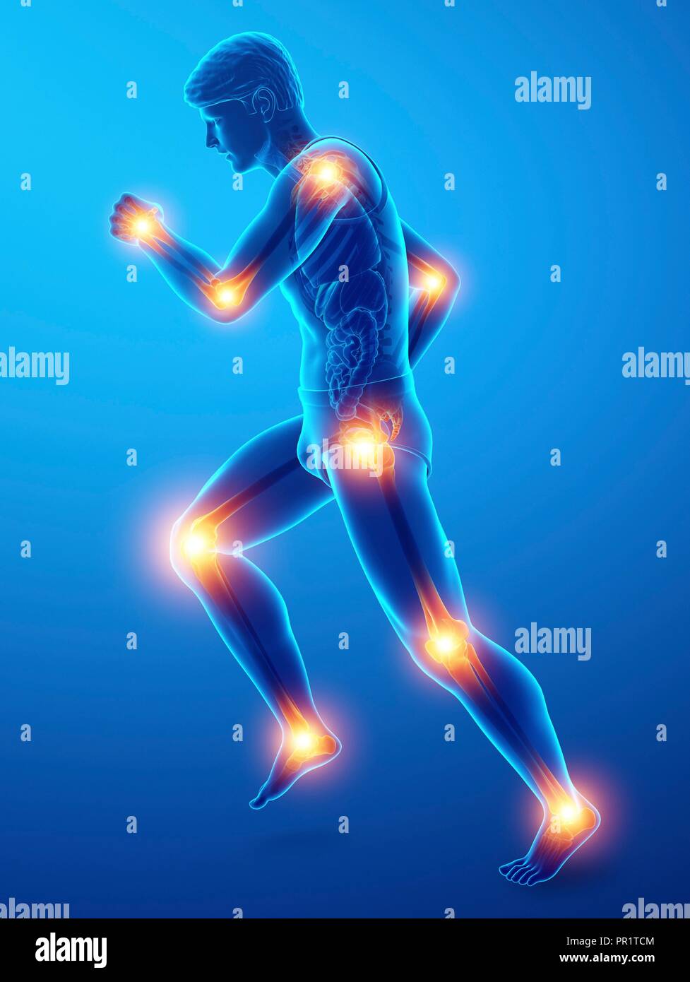 Man with joint pain, computer illustration Stock Photo - Alamy