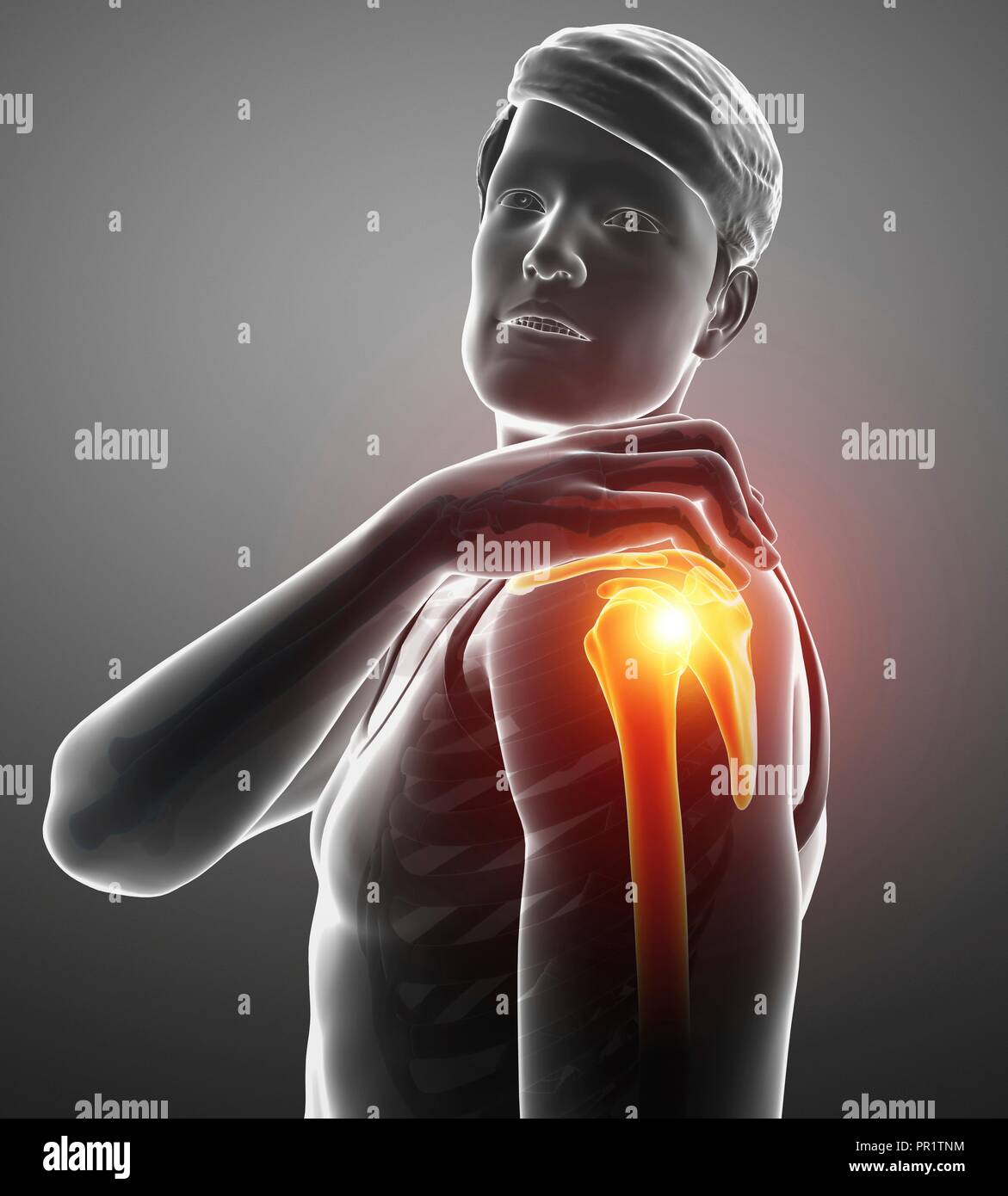 Human anatomy shoulder computer image hi-res stock photography and ...