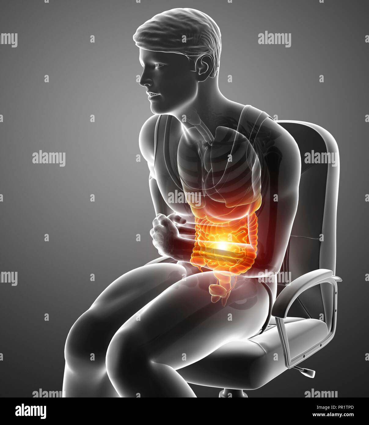 Man with abdominal pain, computer illustration Stock Photo - Alamy