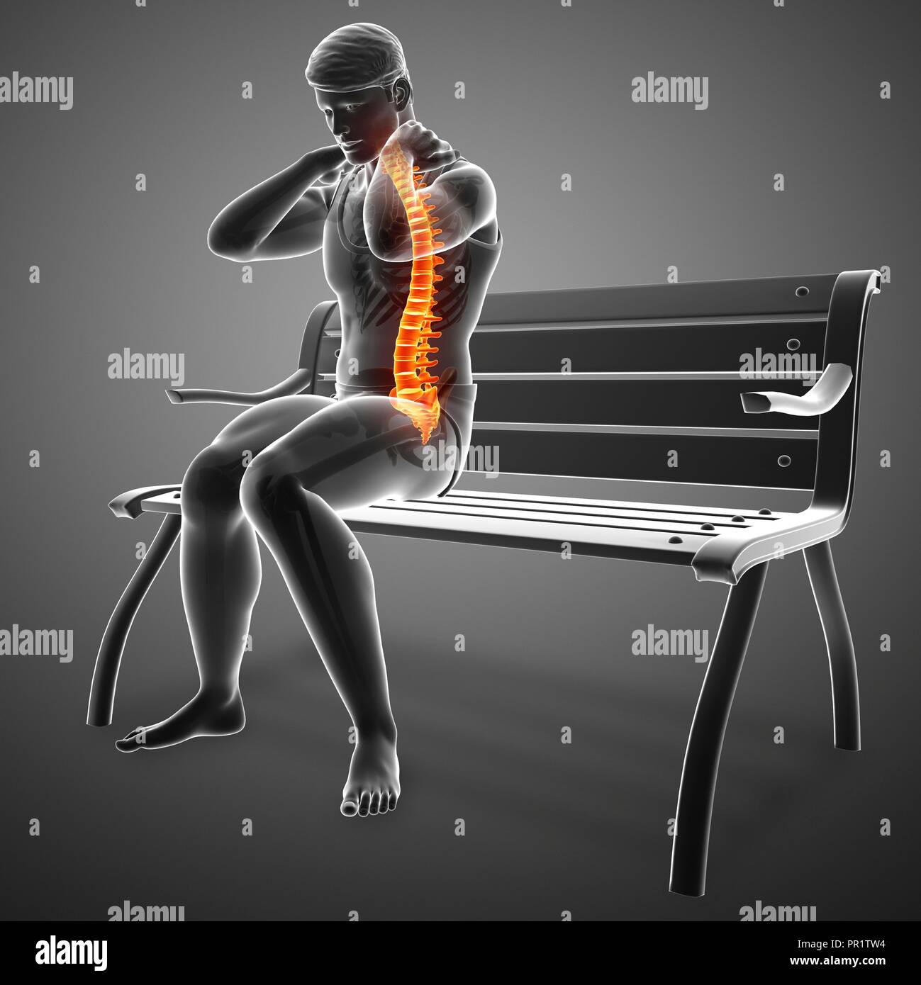 Man with back pain, computer illustration Stock Photo - Alamy
