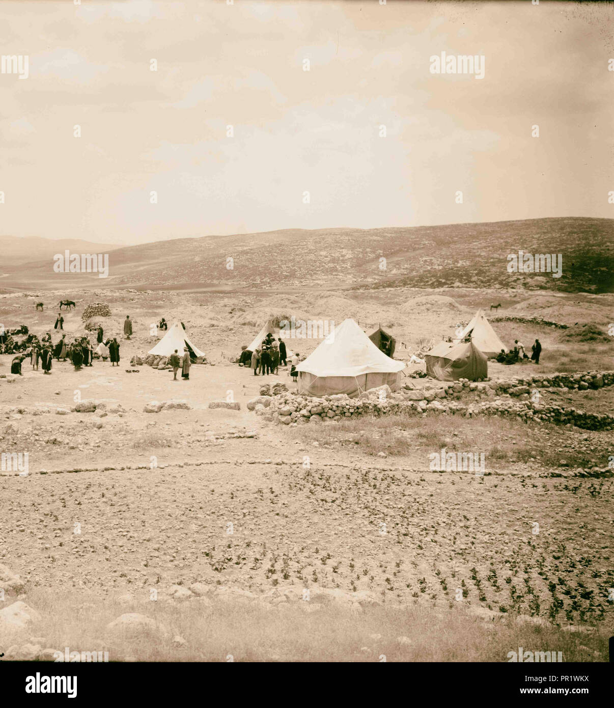 Tell Beit Mirsim. 1926, Israel, Debir, Extinct city Stock Photo - Alamy