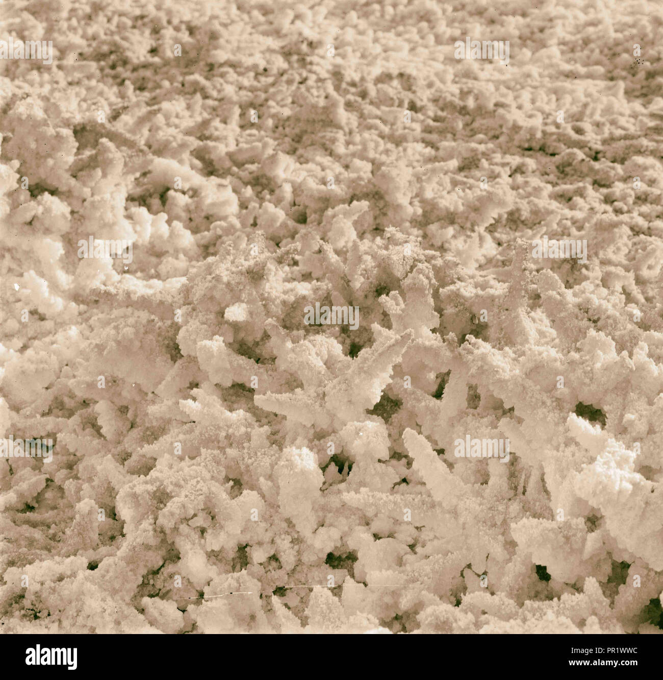 Carnallite hi-res stock photography and images - Alamy