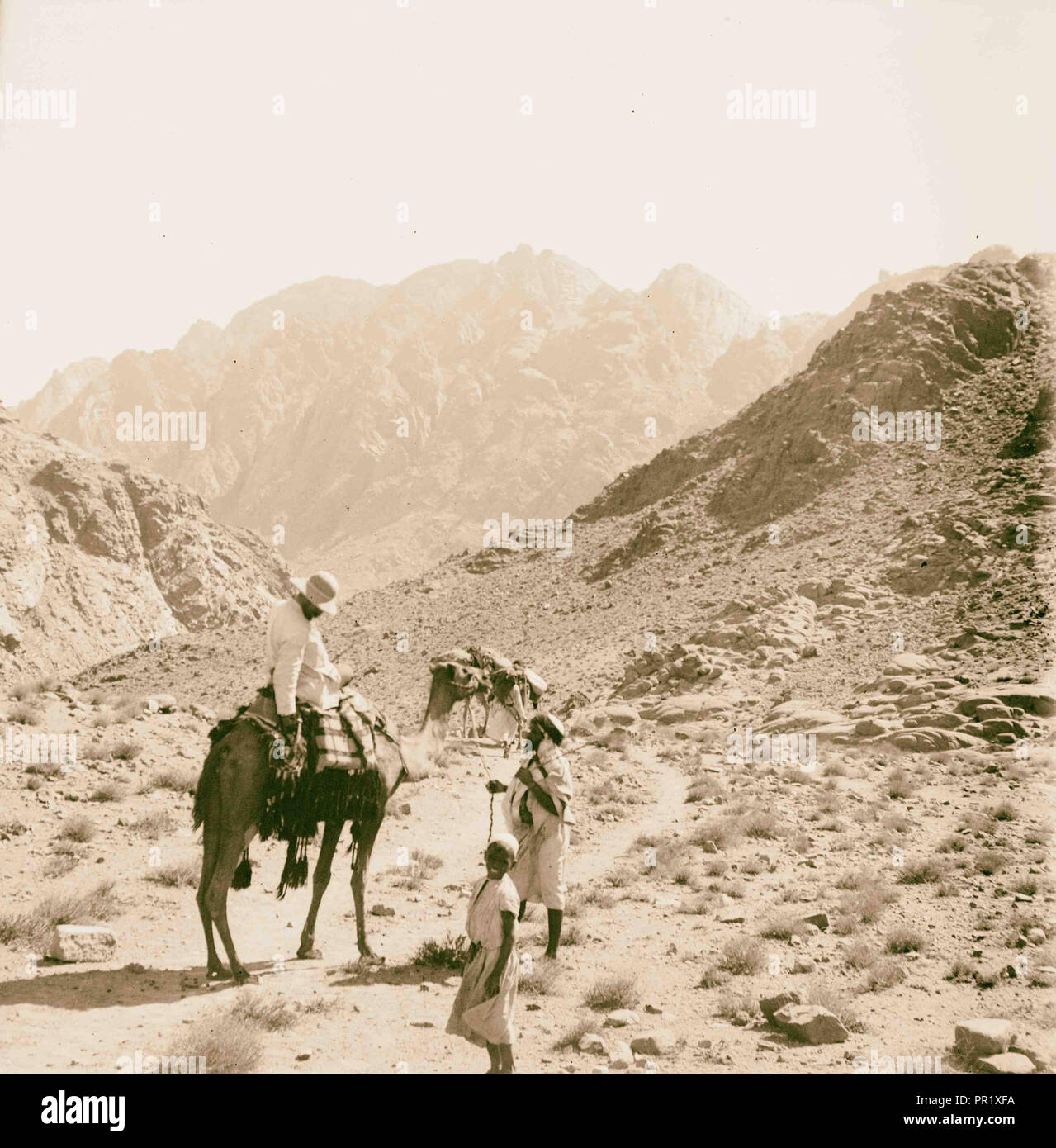 Men & camels in Sinai Mts. [i.e., mountains]. 1898, Egypt, Sinai Stock ...