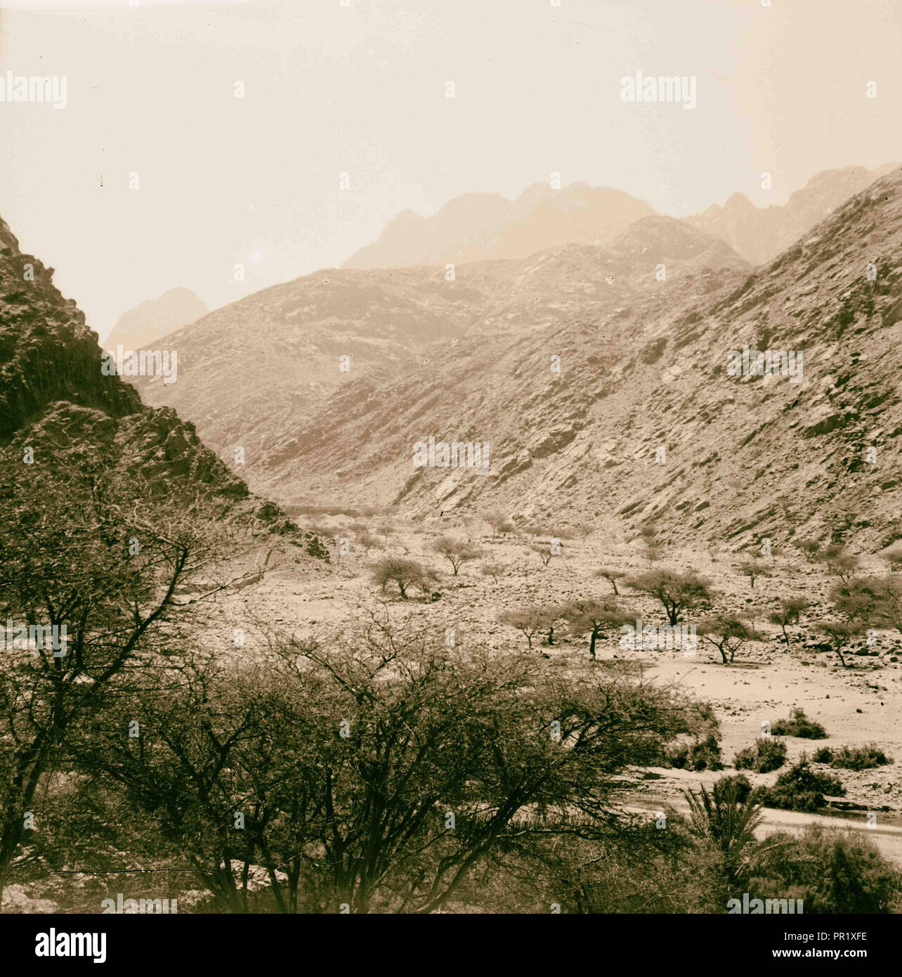 Sinai, Wady Feiran & Wady Alevat. 1898, Egypt, Sinai Stock Photo - Alamy