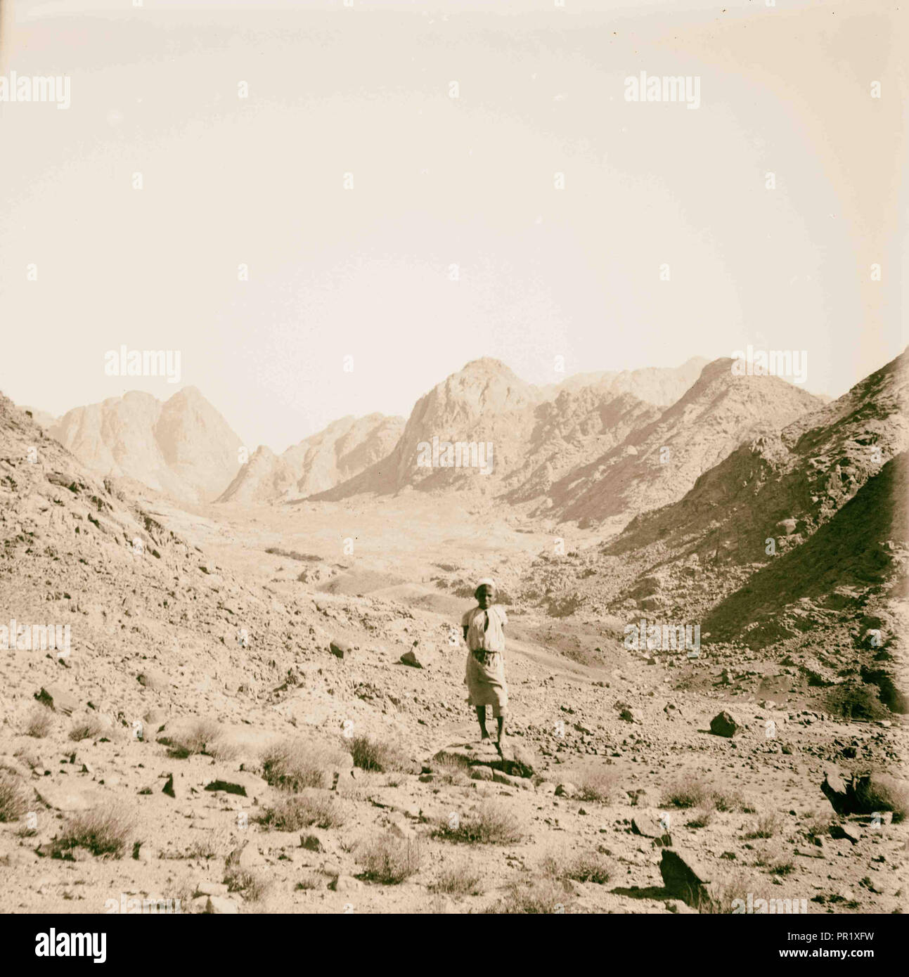 Sinai series. 1898, Egypt, Sinai Stock Photo - Alamy