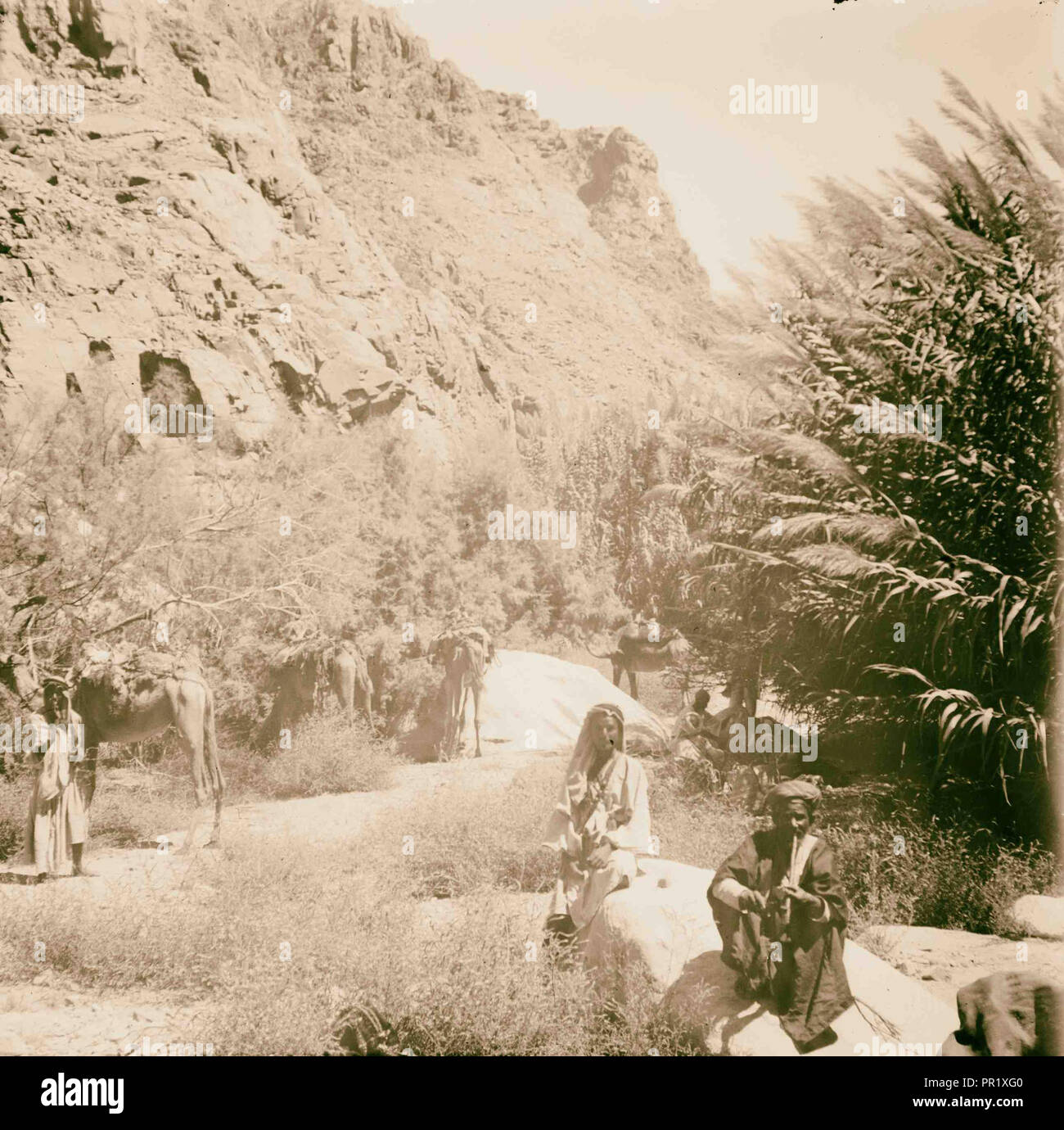 Sinai. 1898, Egypt, Sinai Stock Photo - Alamy