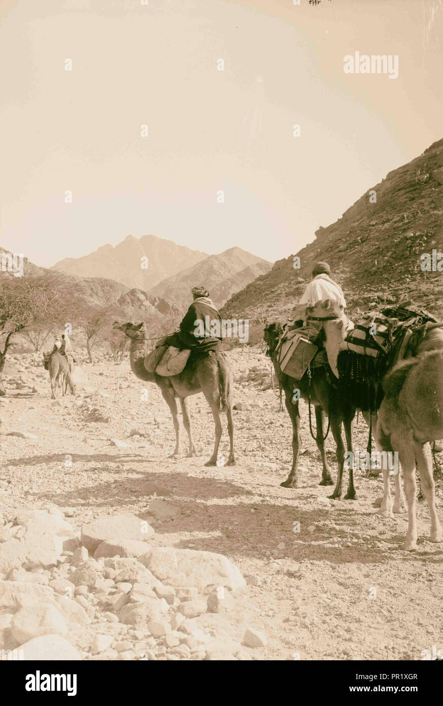 Sinai. 1898, Egypt, Sinai Stock Photo - Alamy