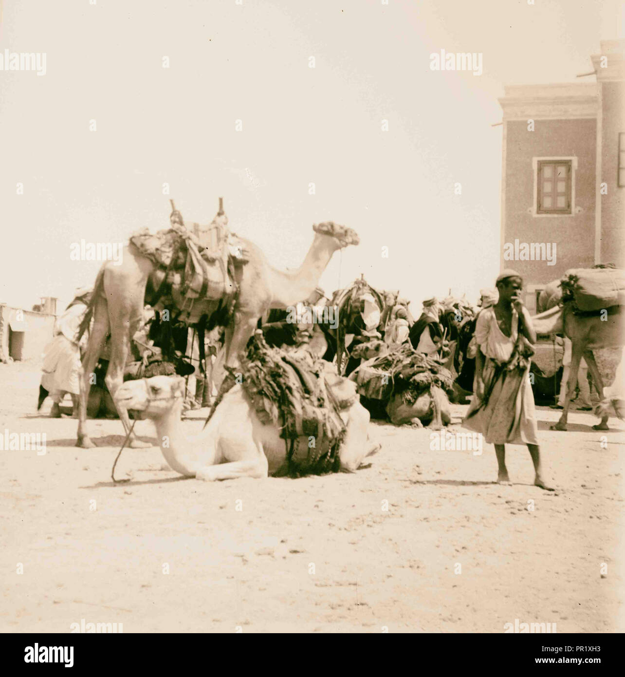 Sinai. 1898, Egypt, Sinai Stock Photo - Alamy