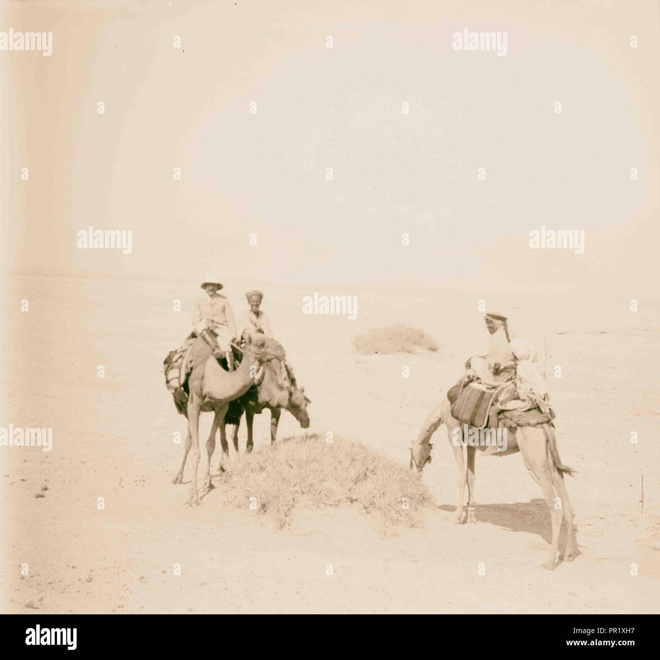 Sinai. 1898, Egypt, Sinai Stock Photo - Alamy