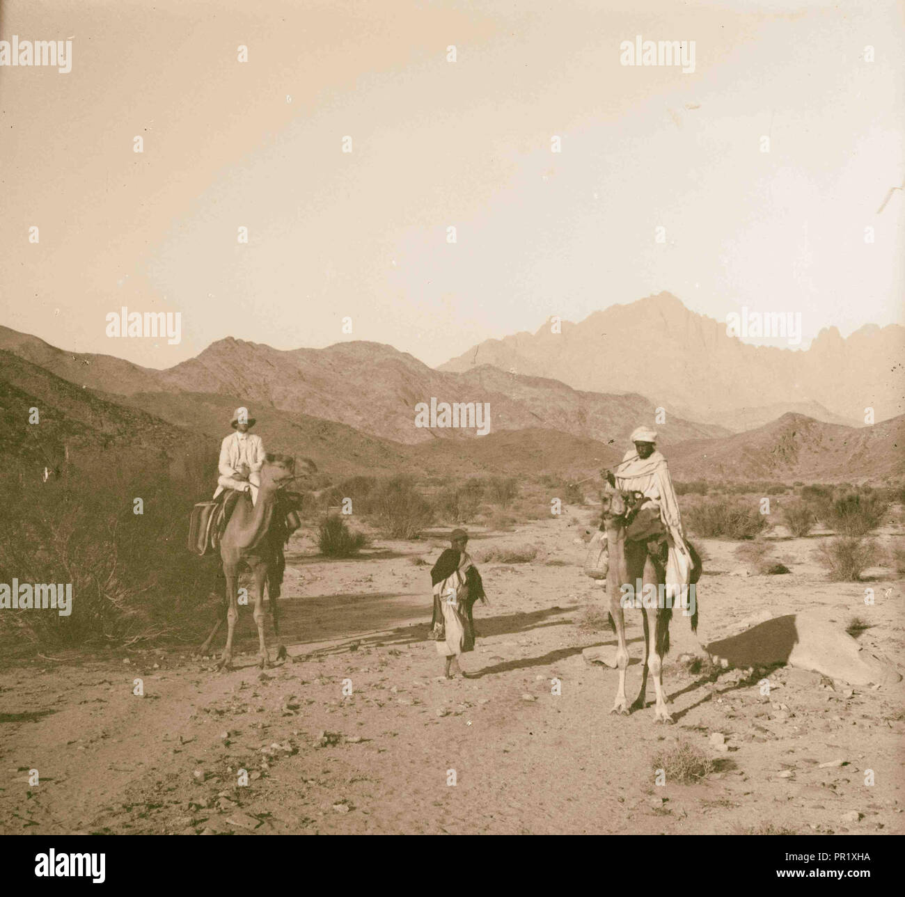 Sinai. 1898, Egypt, Sinai Stock Photo - Alamy