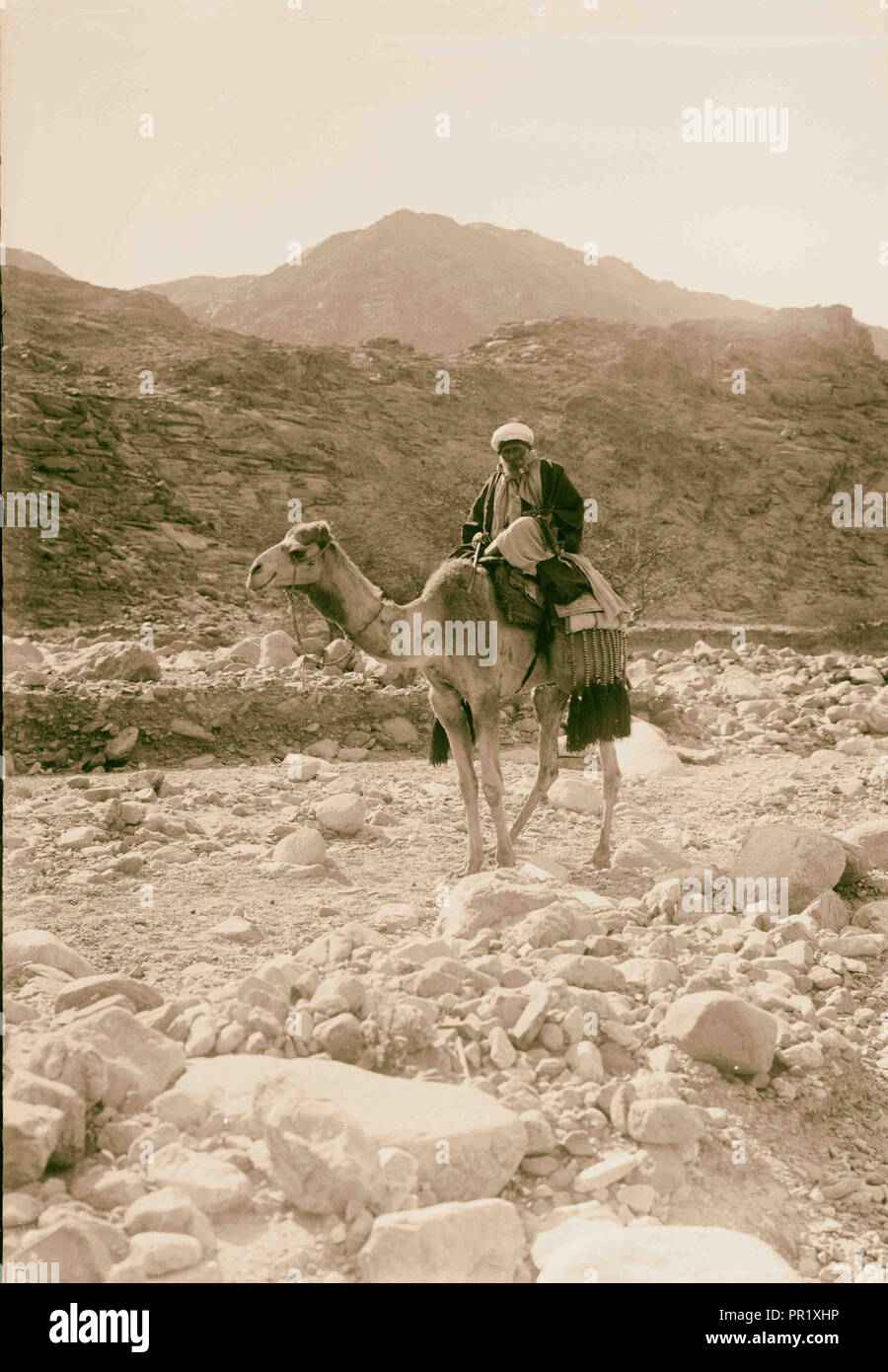 Sinai. 1898, Egypt, Sinai Stock Photo - Alamy