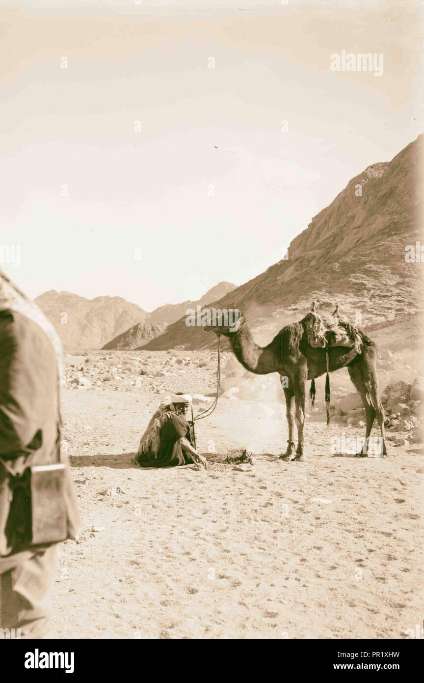 Sinai. 1898, Egypt, Sinai Stock Photo - Alamy