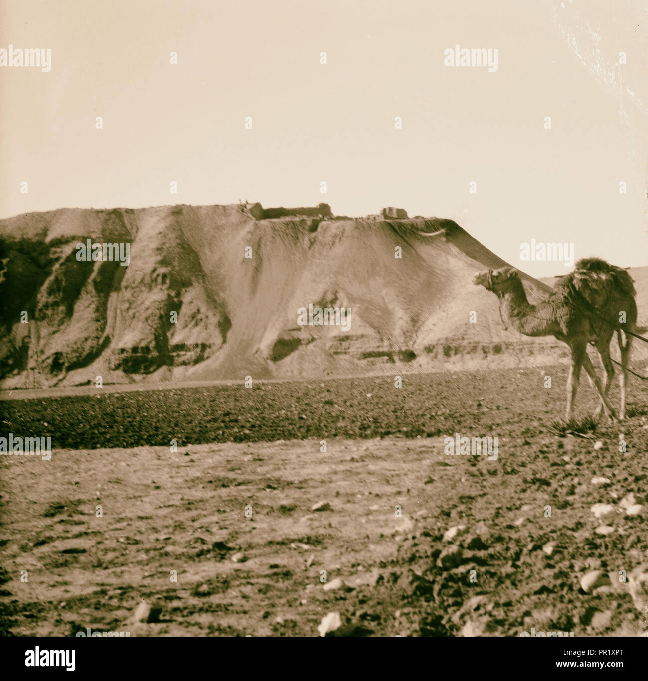 El farah hi-res stock photography and images - Alamy