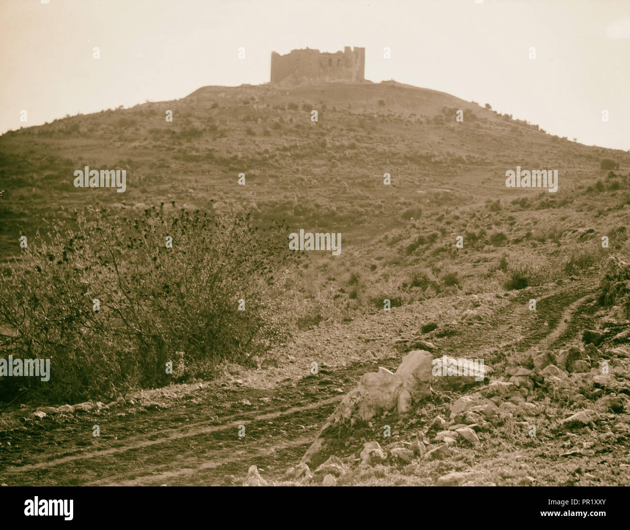 Ajlun castle hi-res stock photography and images - Alamy