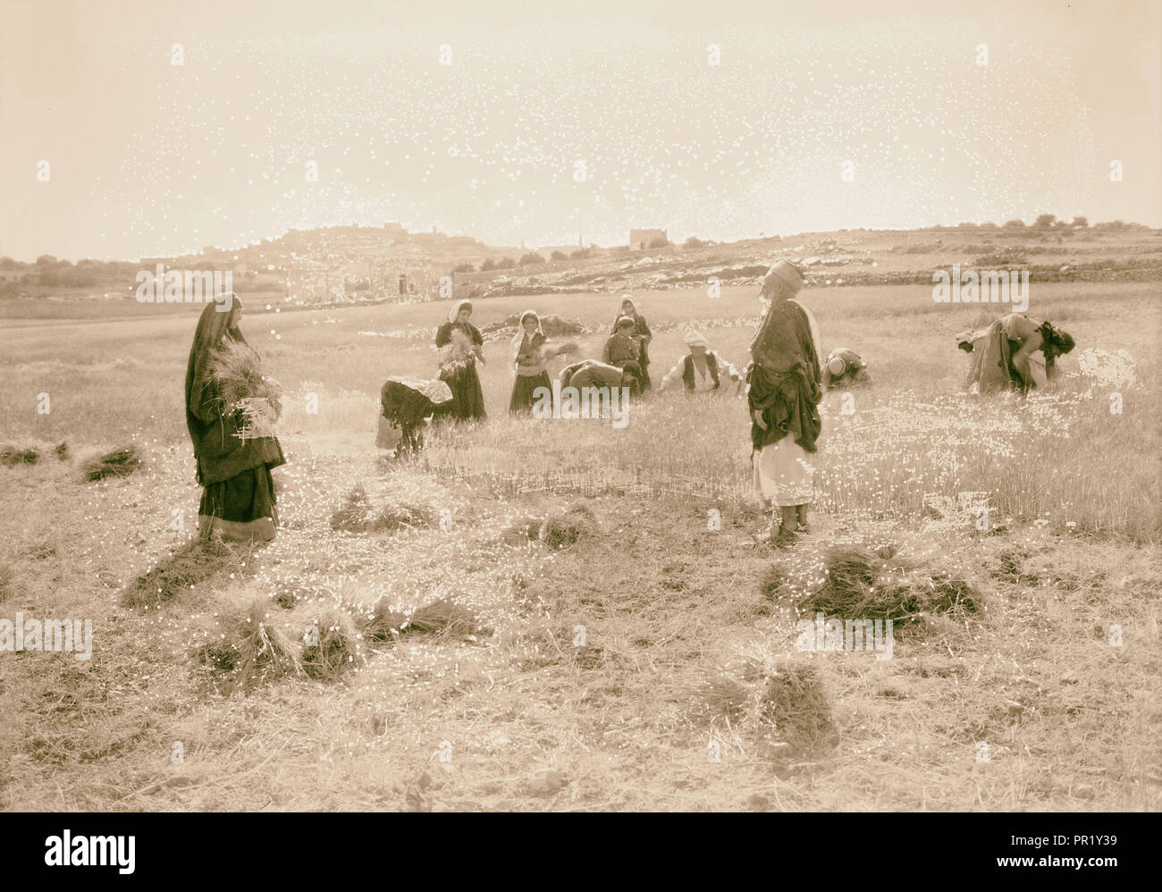 Moabitess story hi-res stock photography and images - Alamy