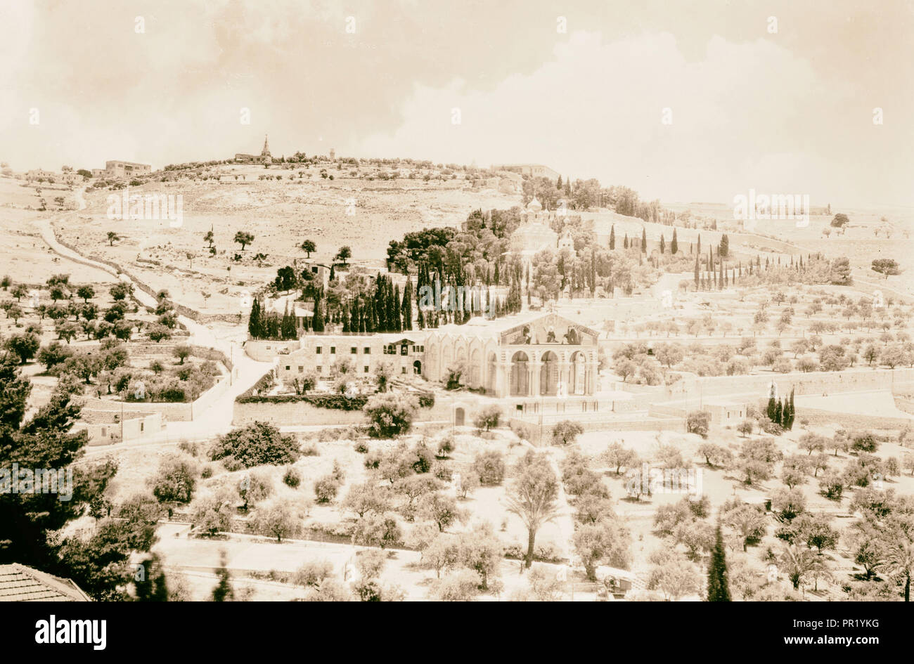 Mount of olives and garden of gethsemane hi-res stock photography and ...