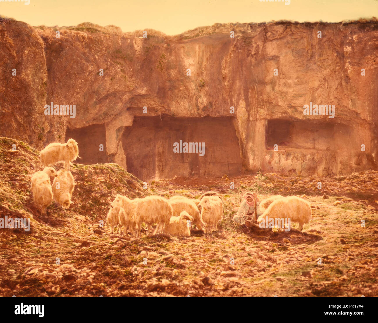 shepherd life illustrating the Twenty-Third Psalm 'Thou preparest a ...