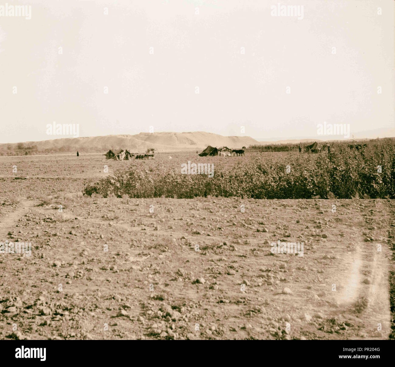 Nineveh ancient hi-res stock photography and images - Alamy