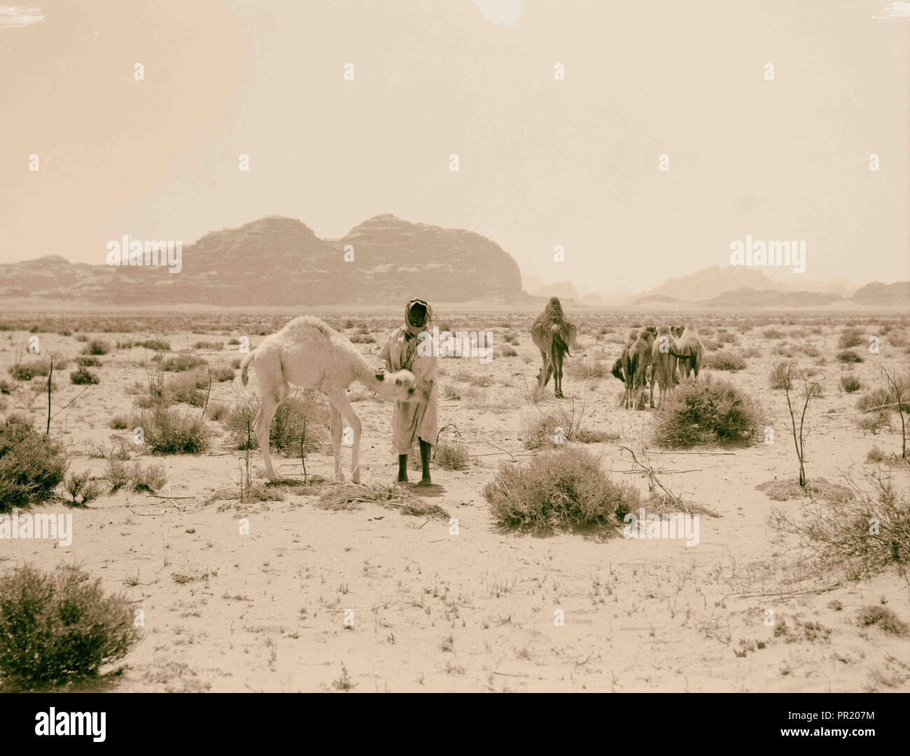 The Araba (Southern end of the great Jordan rift). Negeb el-Shurk ...