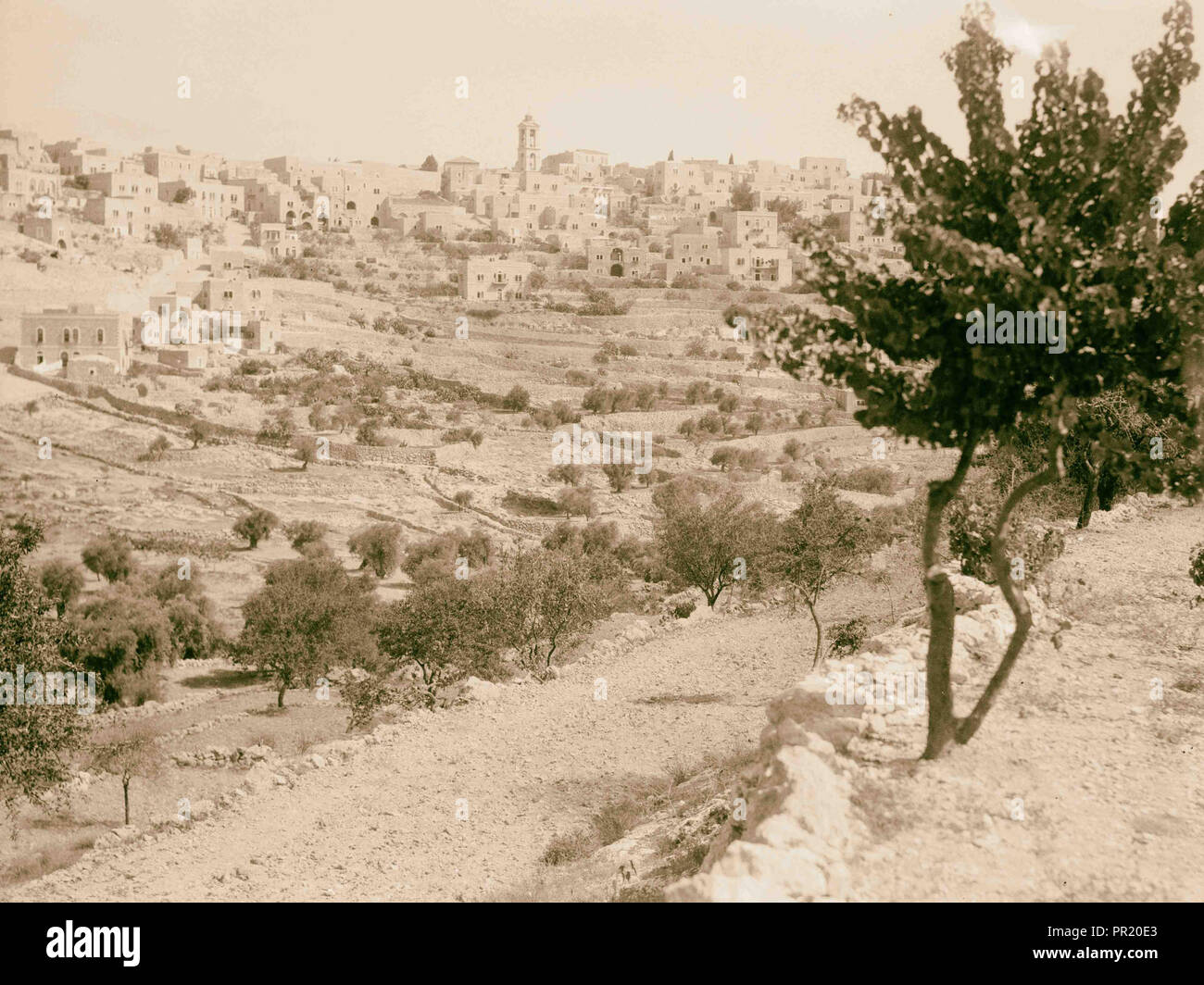 Shepherds fields bethlehem israel hi-res stock photography and images ...