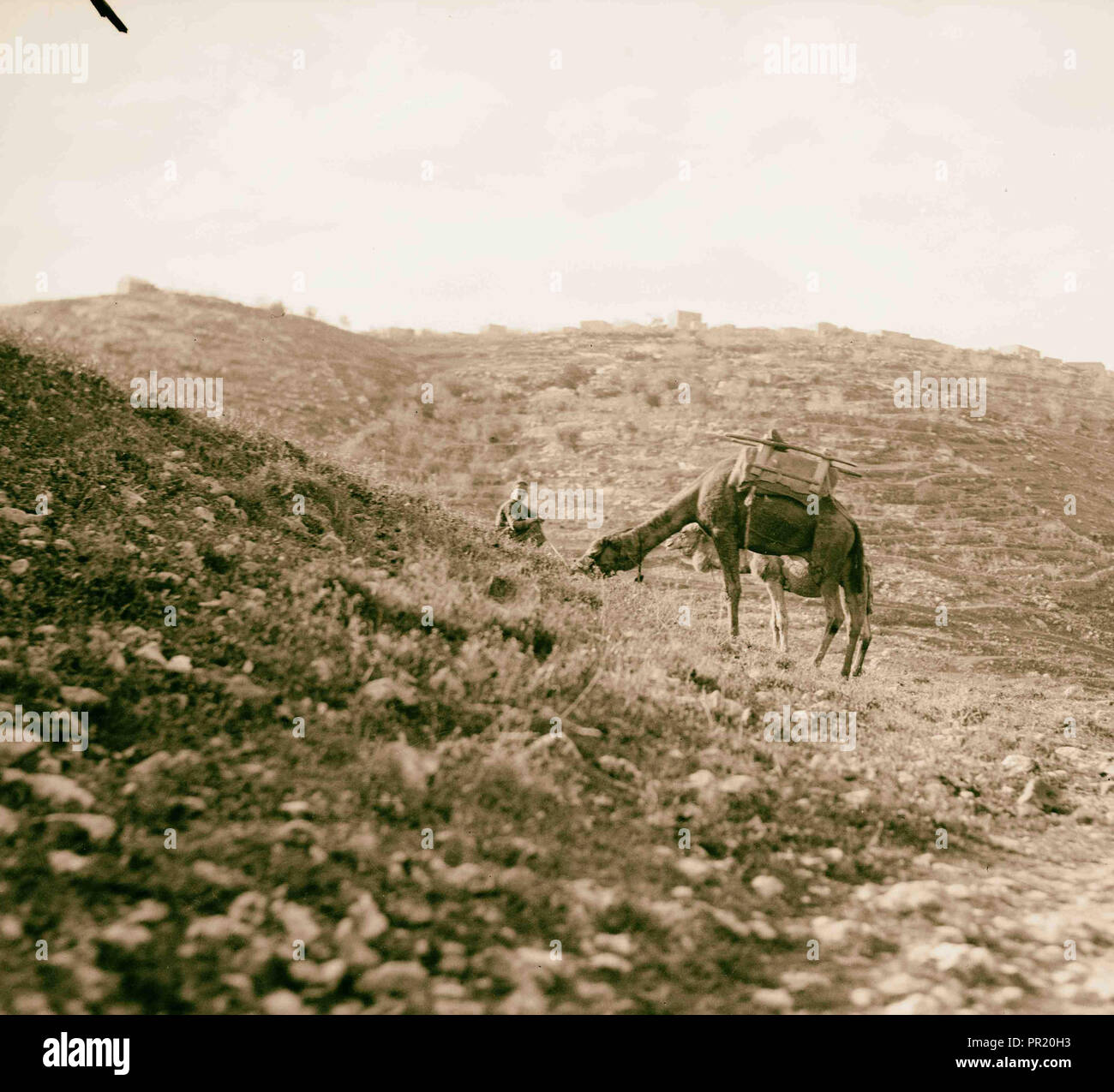 Beit J[...]a. 1934, Middle East, Israel and/or Palestine Stock Photo ...