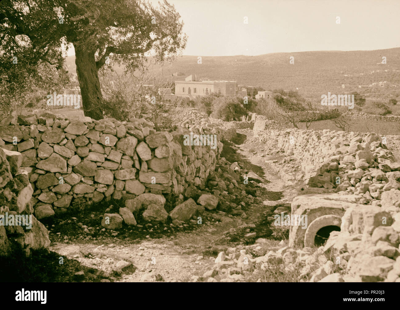 Ancient pathway to Bethlehem along Roman aqueduct. 1934, West Bank ...