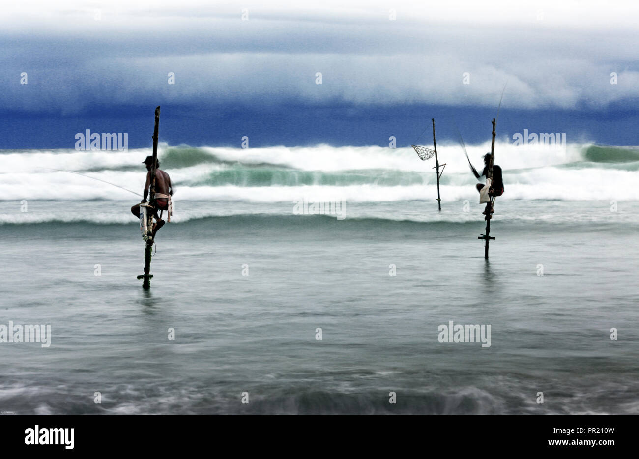 Sri lanka stilt fisherman catching fish hi-res stock photography and ...