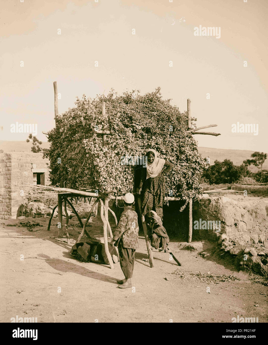 Northern views. Summer house at Banias. 1900, Syria, Damascus Province ...