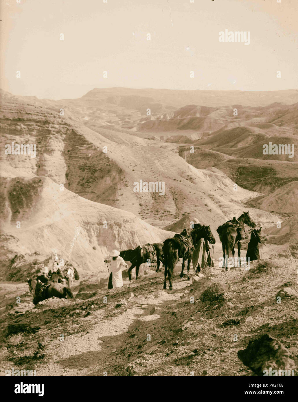Southern Palestine. Wilderness of Tekoah. 1900, West Bank, Tekoa Stock ...