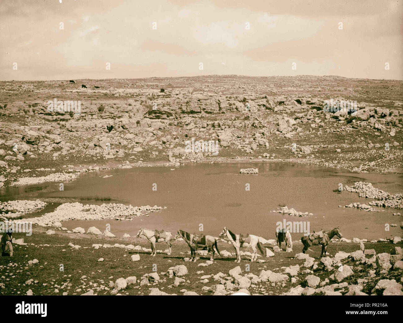 Southern Palestine. Carmel. South of Hebron. 1900, West Bank Stock ...