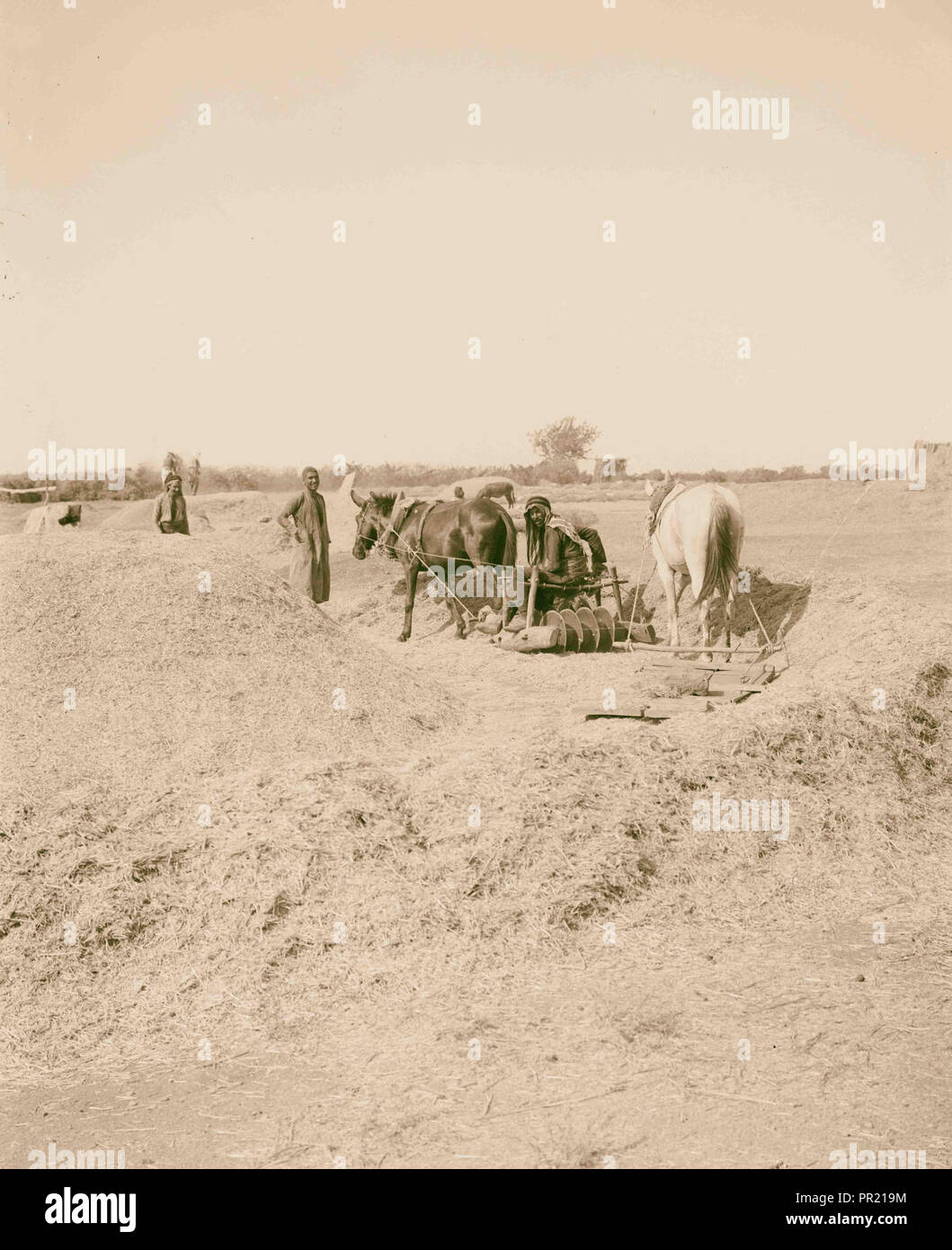 Threshing instrument hi-res stock photography and images - Alamy