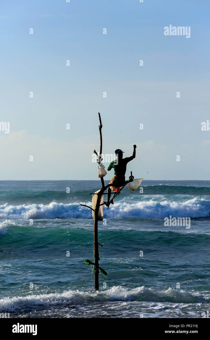Sri lanka stilt fisherman catching fish hi-res stock photography and ...