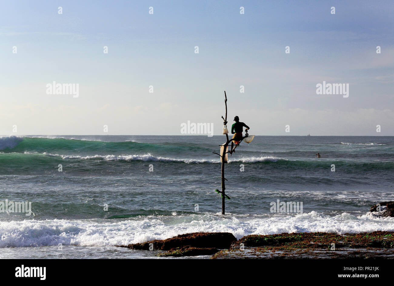 Sri Lanka stick fisherman catching fish in Koggala, Sri Lanka Stock ...