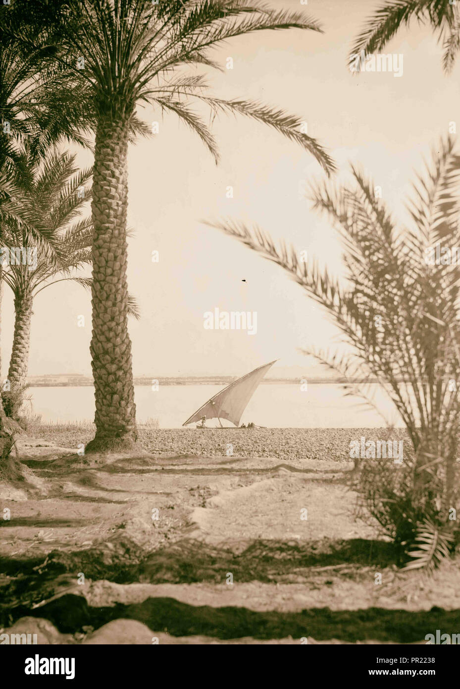 Egypt. River scenes. The Nile. Artistic scenes south of Cairo with ...