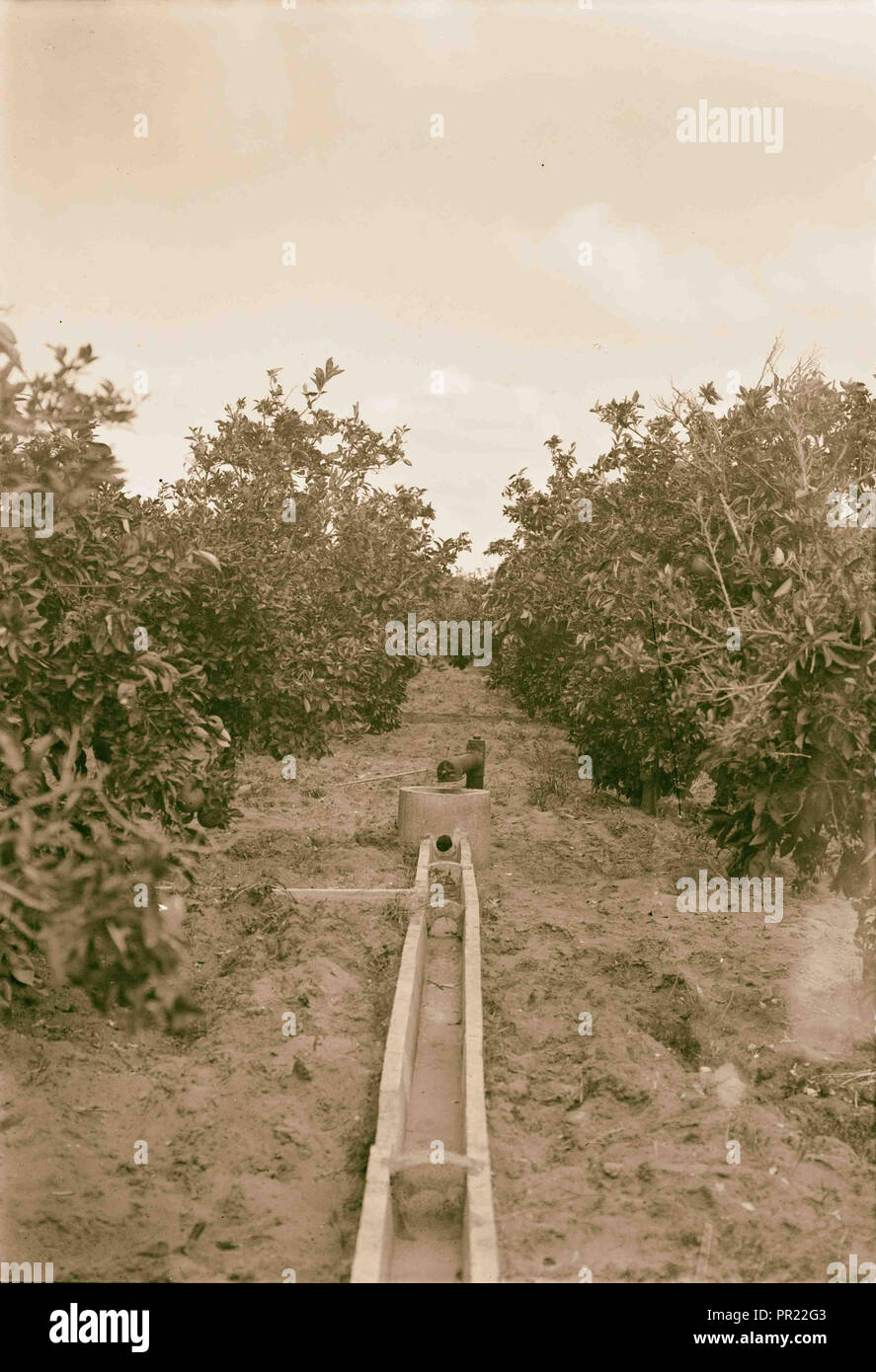 Orange orchards irrigation hi-res stock photography and images - Alamy