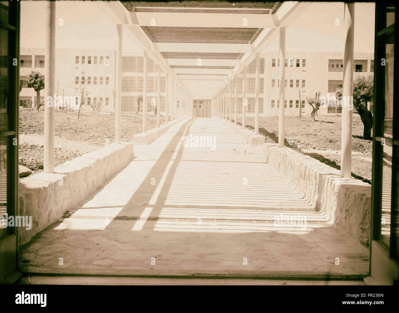 Medical wing hi-res stock photography and images - Alamy