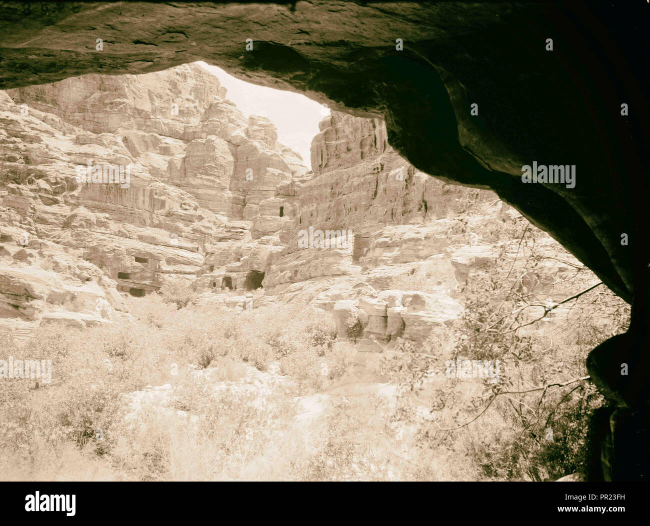 Petra. Oleanders in valley close to Petra proper. 1940, Jordan, Petra ...