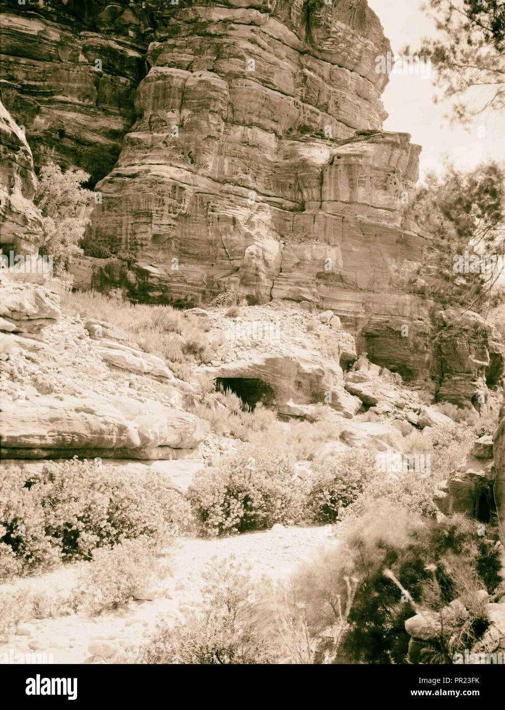 Petra. Scene with aloes across the valley. 1940, Jordan, Petra, Extinct ...
