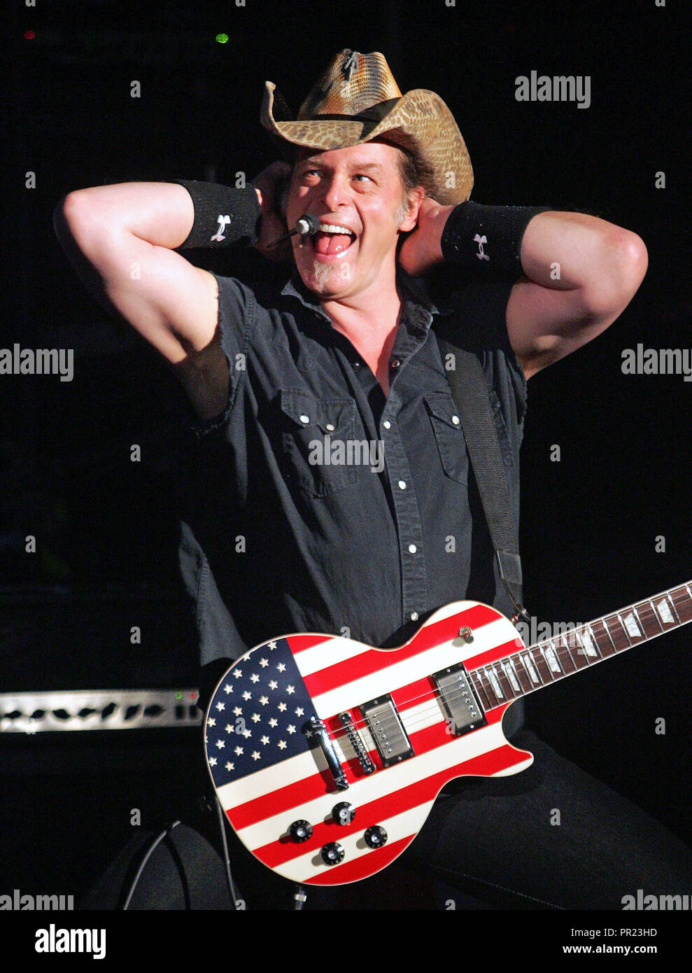 Ted nugent in concert hi-res stock photography and images - Alamy