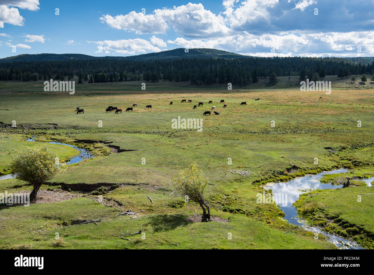 Northern New Mexico Ranches