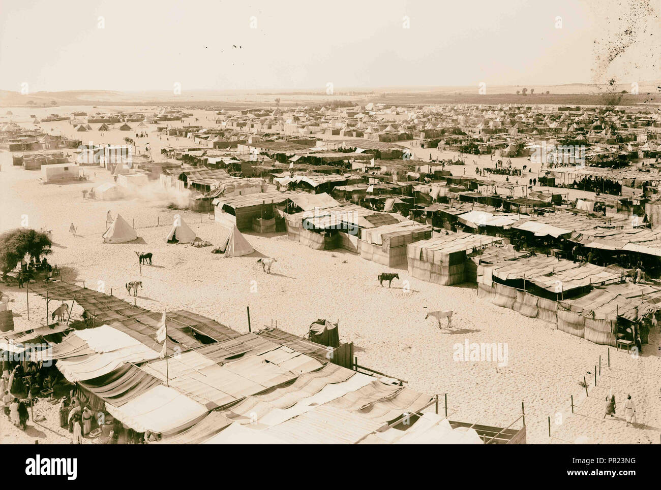 Neby [i.e., Nebi] Rubin encampment. 1898, Israel Stock Photo - Alamy