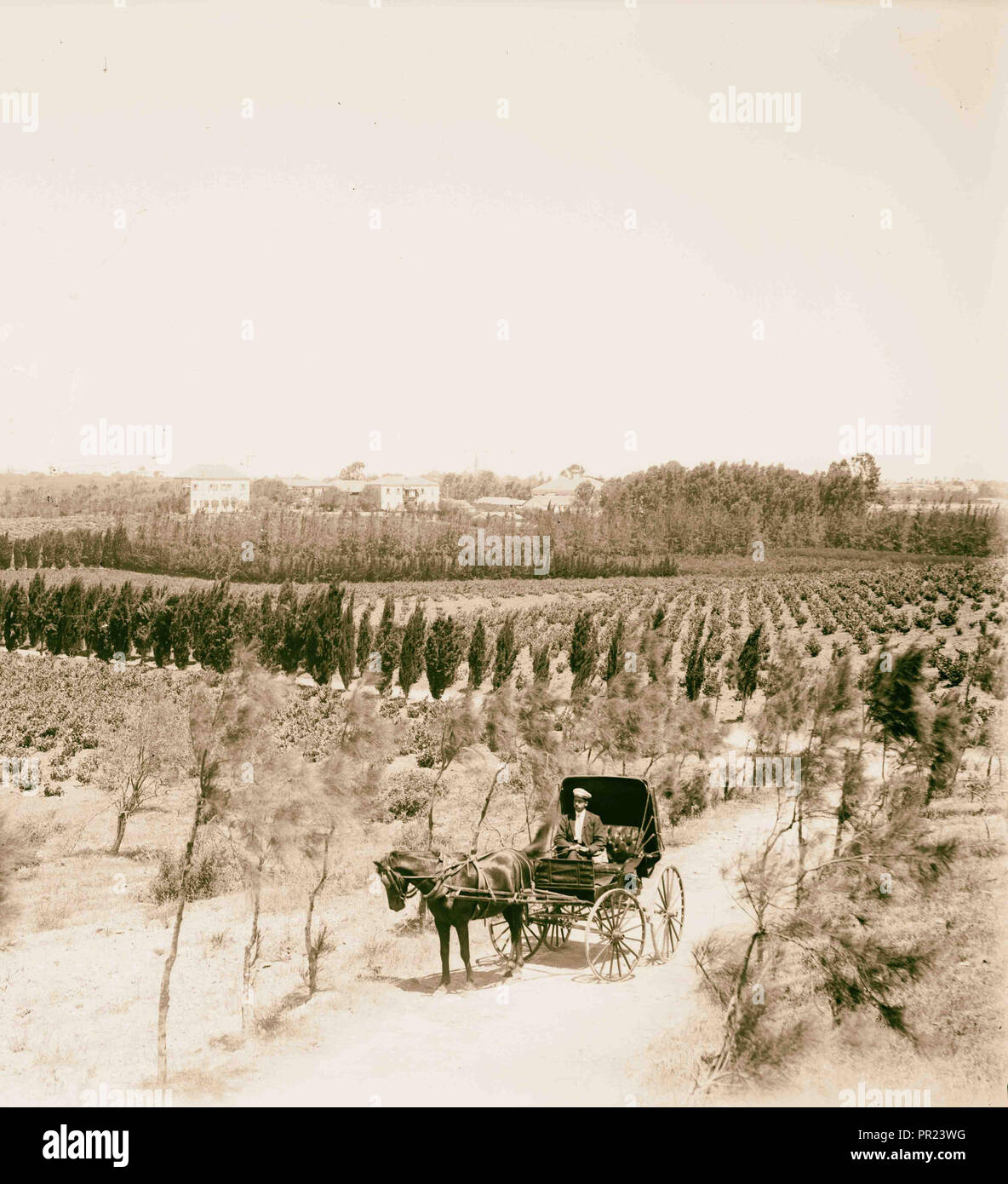 Jewish colony. Photograph shows Mikveh (Mikve) Israel Agricultural ...