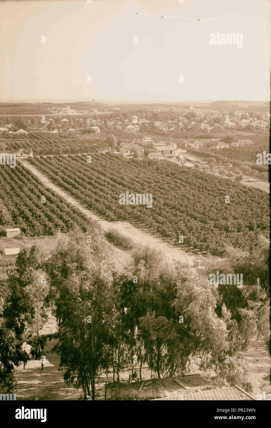 Rehoboth. 1935. 1935, Israel, Reḥovot Stock Photo - Alamy