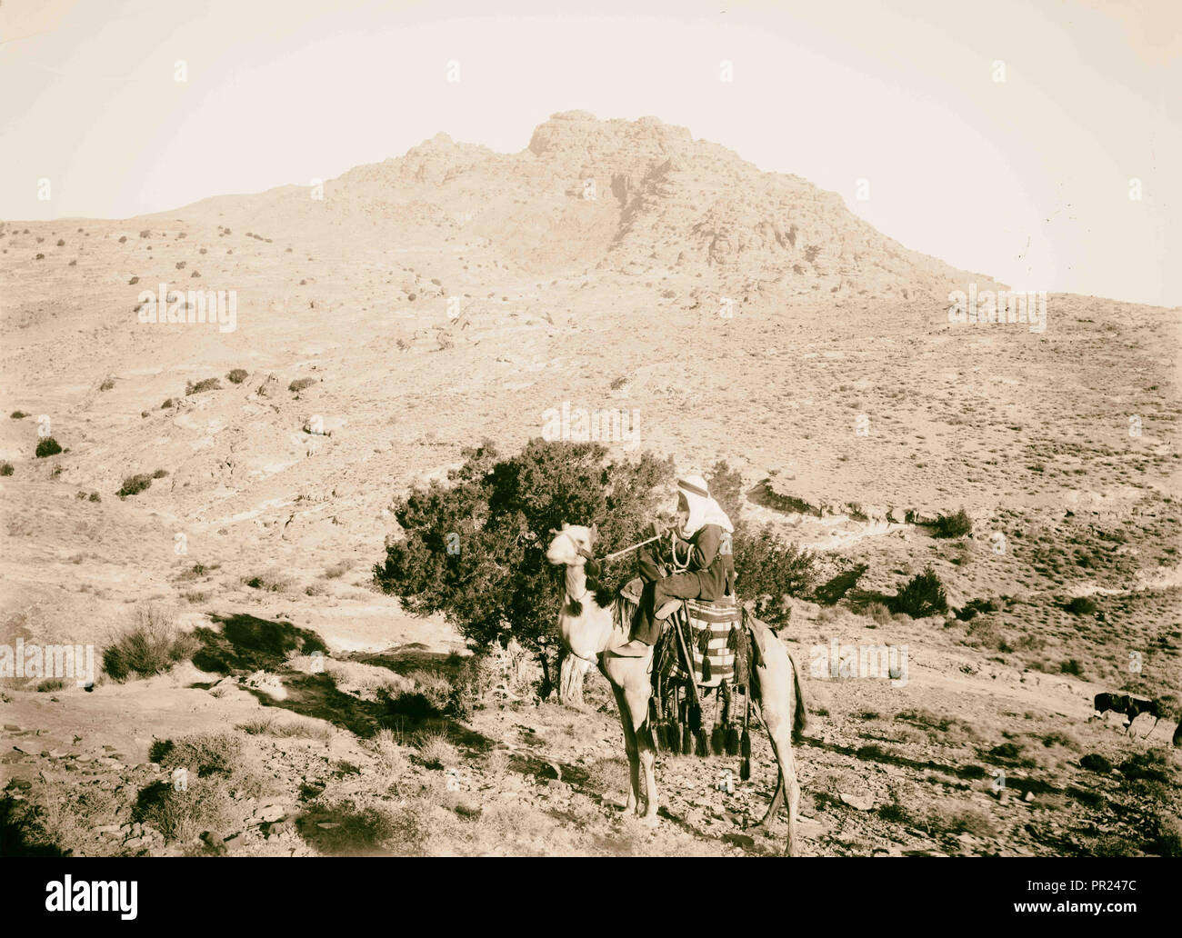 Petra. Mount Hor. 1898, Jordan, Petra, Extinct city Stock Photo - Alamy