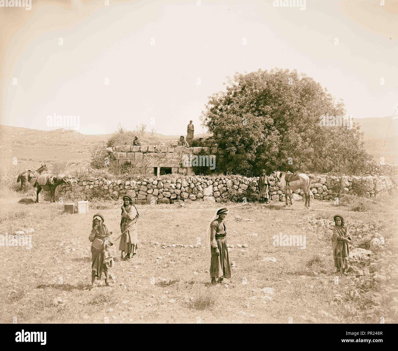 Northern views Ruins of Shiloh (Seilun). 1898, West Bank, Shiloh ...